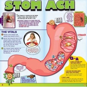 SmartLabs | Toys | Smartlab Stem Squishy Human Body Anatomy Kit | Poshmark